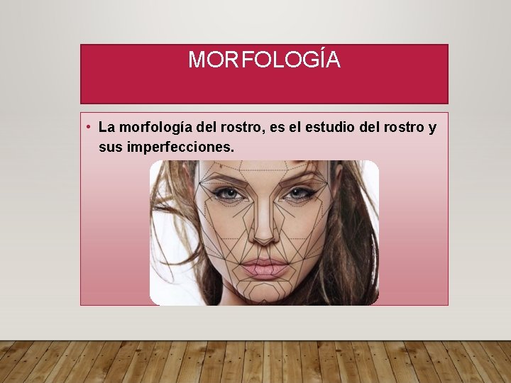 MORFOLOGA Y VISAGISMO 1 BELN BUENO PROFESORA DE