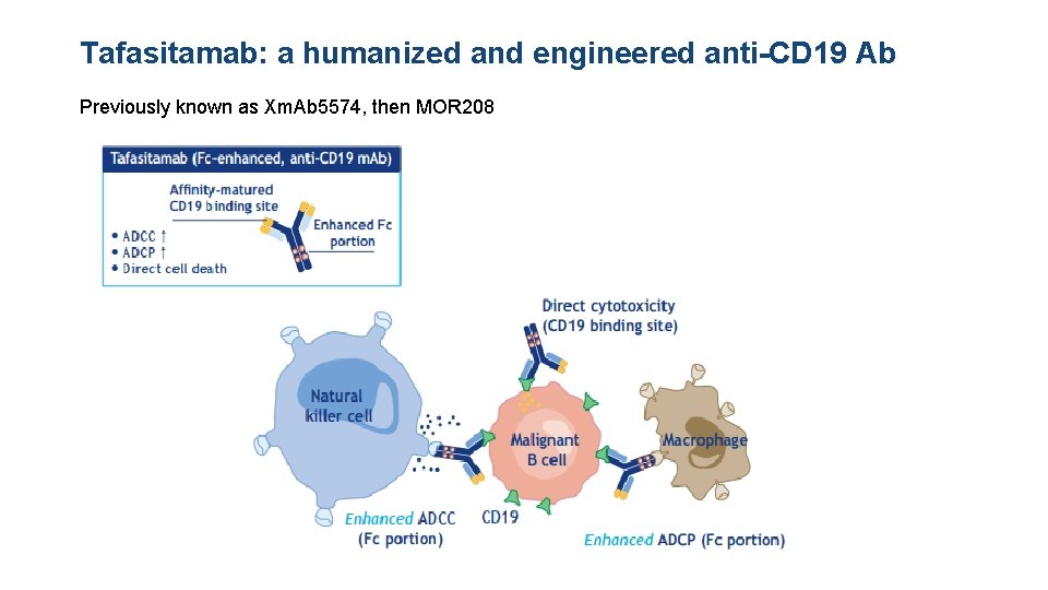 Novel and Emerging Strategies for Diffuse Large BCell