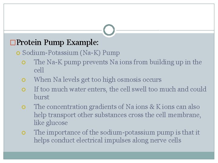 45 Wednesdays Notes Active Transport Types of Active