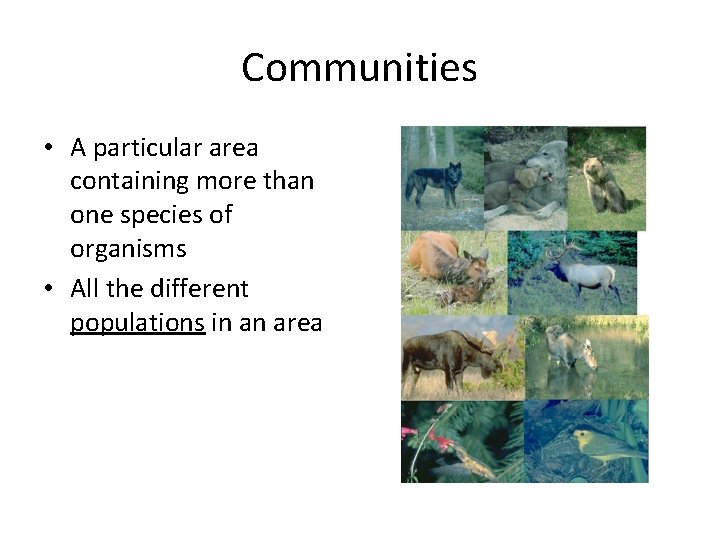 Ecosystems Biotic vs Abiotic Factors Bioticliving plants worms