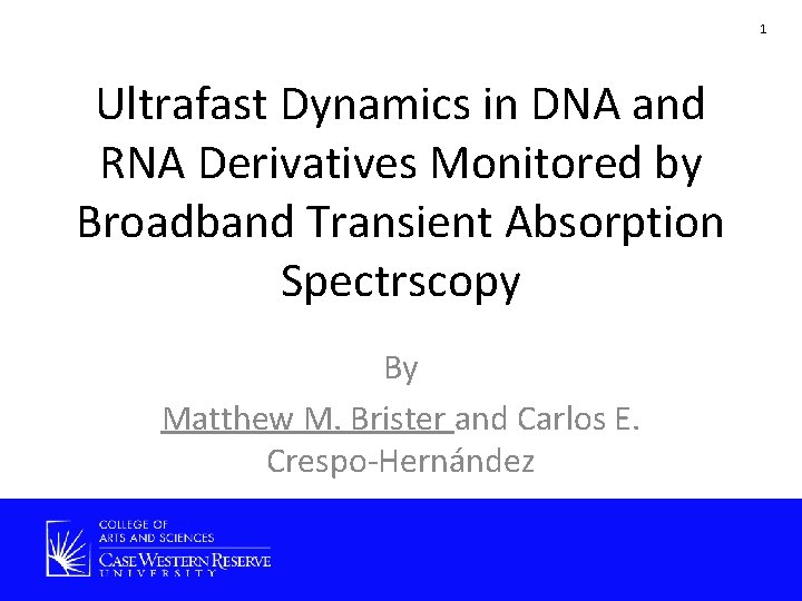 1 Ultrafast Dynamics in DNA and RNA Derivatives