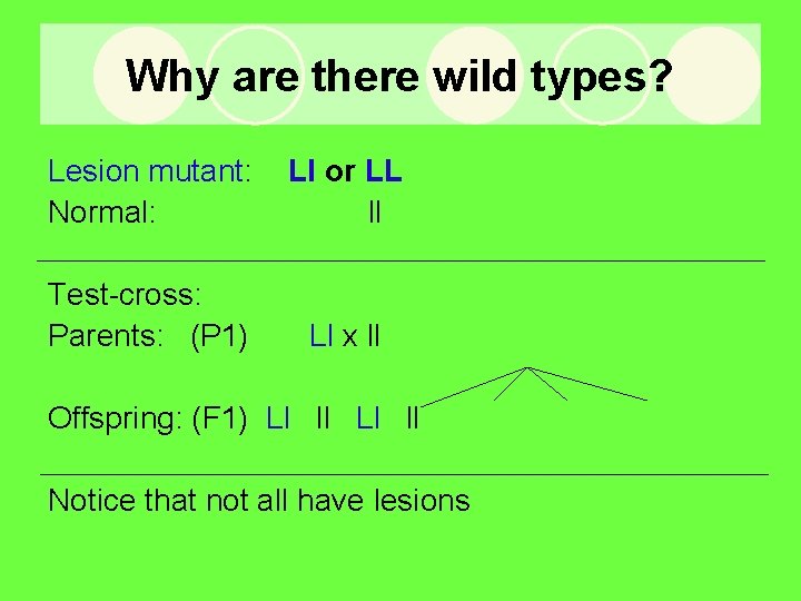 Lesion 3 Les 3 By Jessica Johns Erika