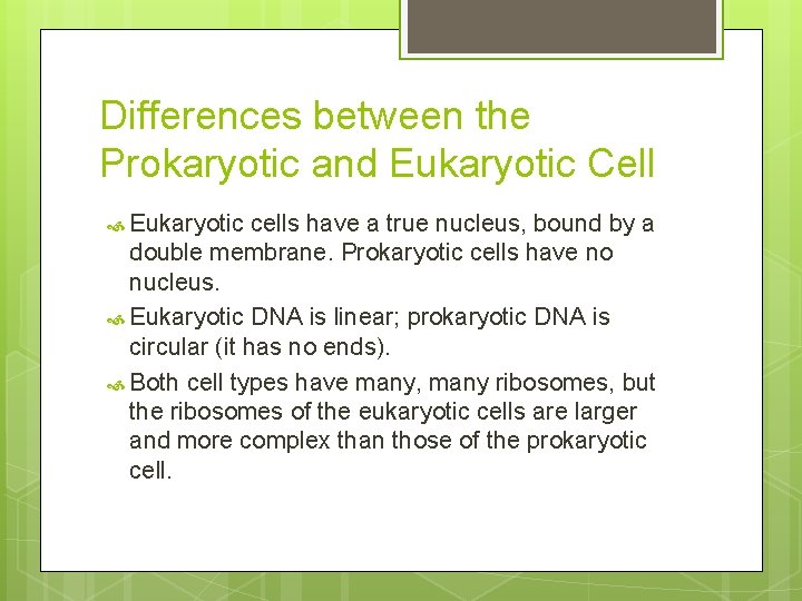 Inside of an Animal and Plant Cell Standards