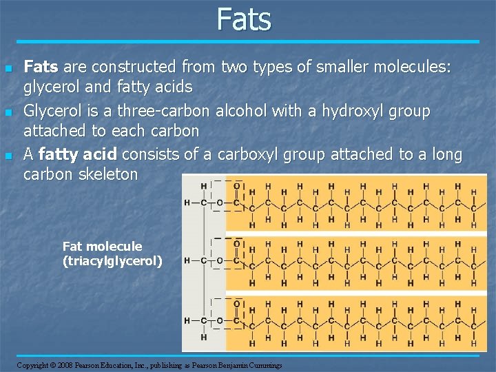 The Structure and Function of Large Biological Molecules