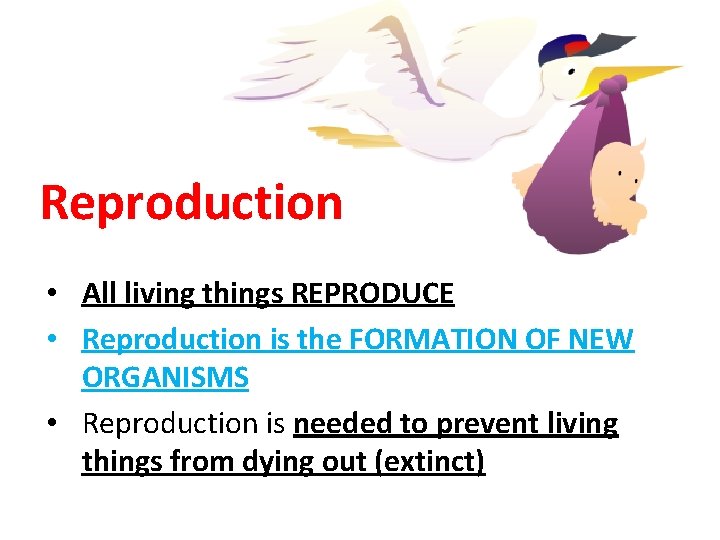 Chapter 18 Biodiversity Learning Outcomes BW 3 Students