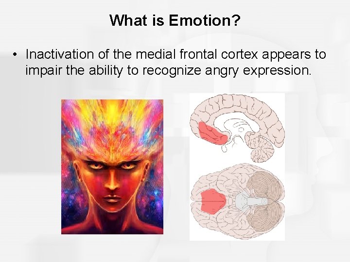 Chapter 12 Emotional Behaviors Module 11 1 What