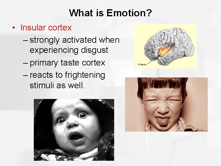 Chapter 12 Emotional Behaviors Module 11 1 What