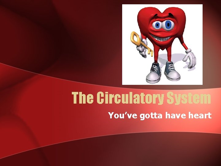 The Circulatory System Youve gotta have heart Some