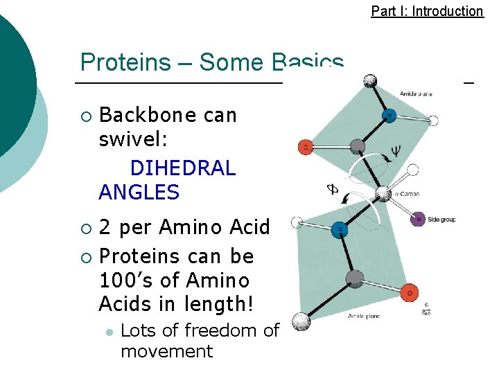 Introduction to Bioinformatics II Protein secondary prediction Lecture