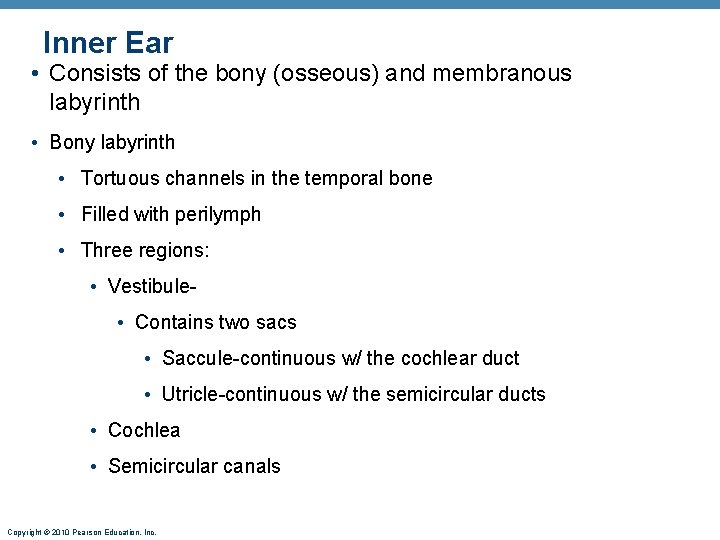 THE EAR HEARING AND BALANCE Copyright 2010 Pearson