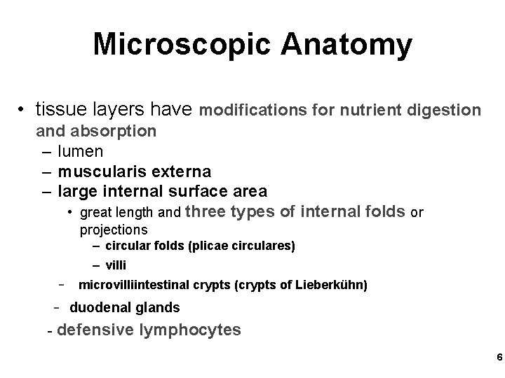The Digestive System AlFarabi Kazakh National University Higher