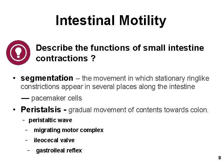 The Digestive System AlFarabi Kazakh National University Higher