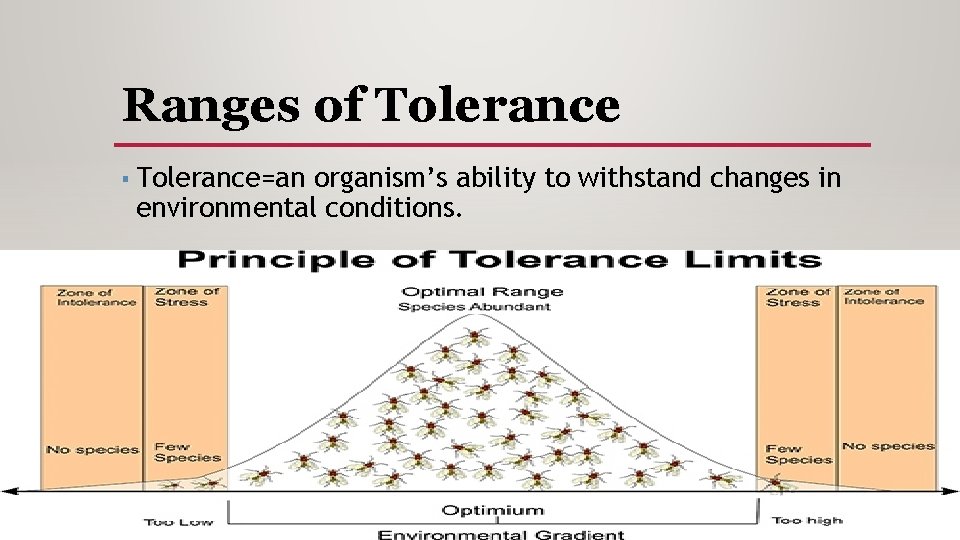 Chapter 3 Communities and Biomes Community A group