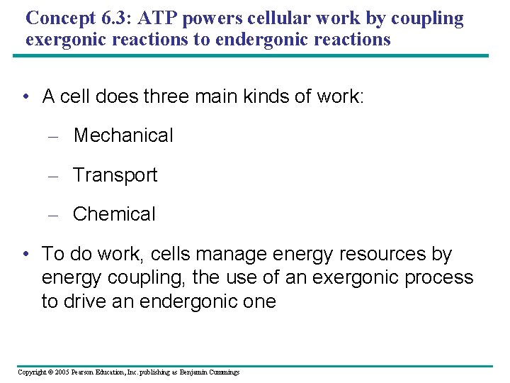 Introduction to Metabolism Chapter 6 Copyright 2005 Pearson