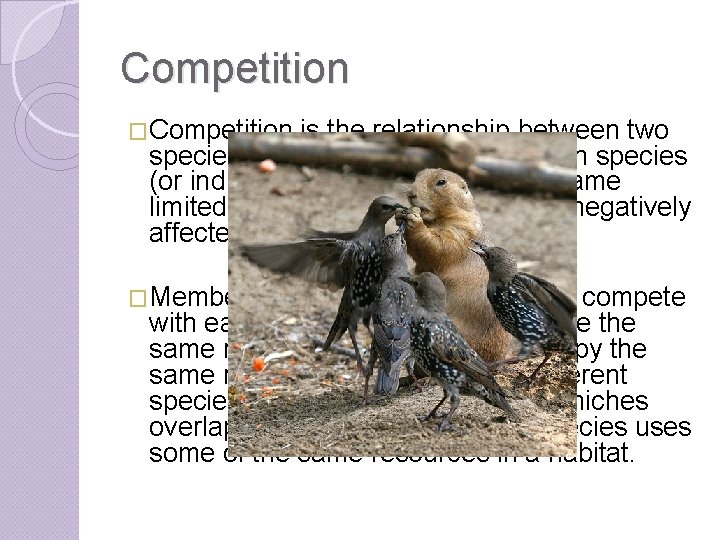 Understanding Populations How Species Interact with Each Other