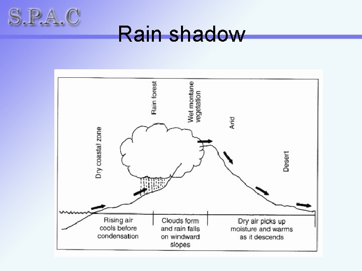 SoilPlantAtmosphere Continuum Concept Models Air Stomatal pores Cuticle