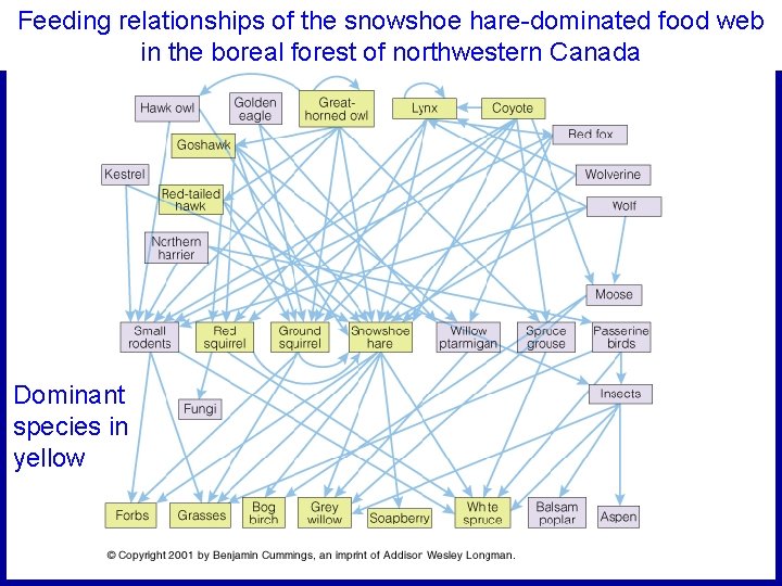 WHAT IS AN ECOSYSTEM Community all abiotic factors