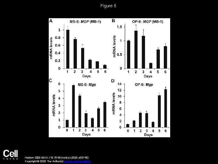 Matrix Gla protein maintains normal and malignant hematopoietic