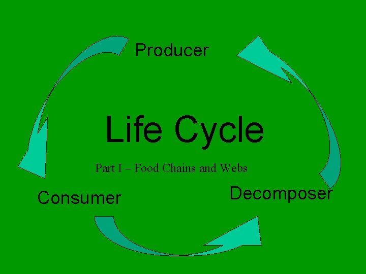 Producer Life Cycle Part I Food Chains and