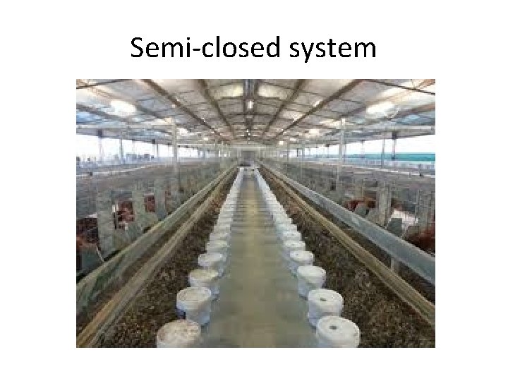 Housing systems in poultry By Moustafa Fathi 1072017