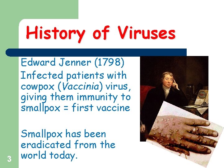 History of viruses l Viruses have been around