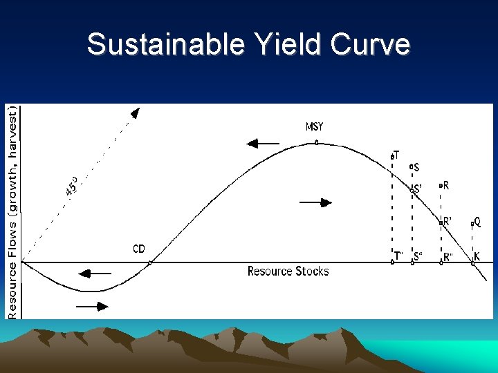 Economics of Biotic Resources Ecosystem Structure and Function