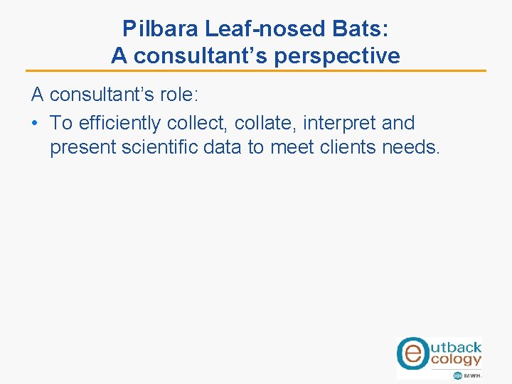 Pilbara Leafnosed Bats A consultants perspective by Mark