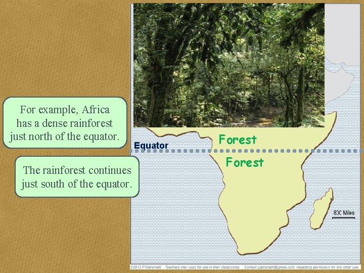 Rainforests Deserts and the Transitions Between Them Constructing