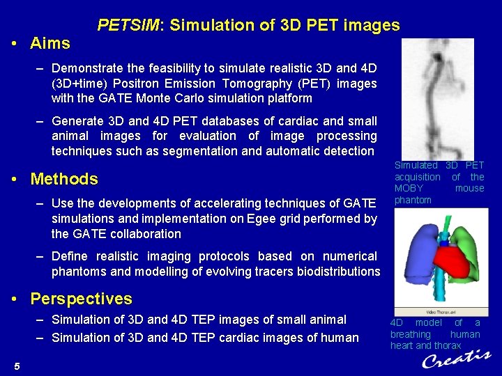 contribution in NA 4 Medical applications EGEE 2