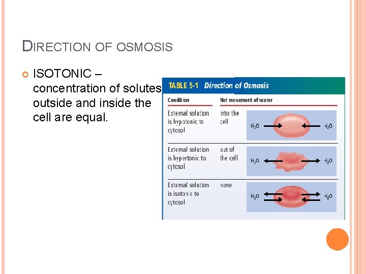 HOMEOSTASIS AND CELL TRANSPORT OSMOSIS the process by