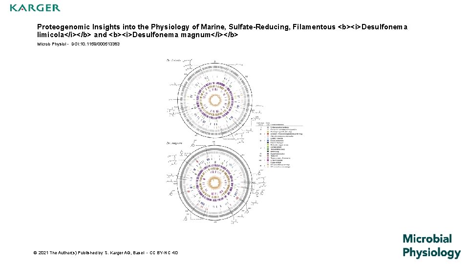 Proteogenomic Insights into the Physiology of Marine SulfateReducing