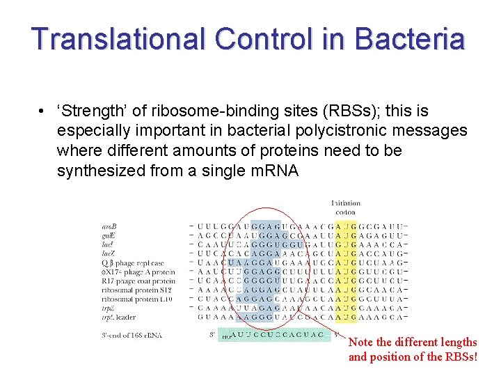 Gene Regulation II The Ribosome Strikes Back Mechanisms