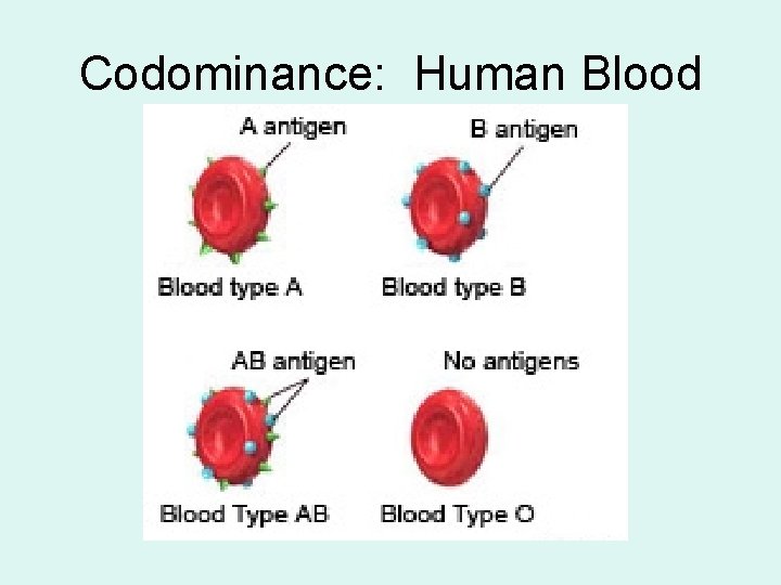 Heredity Patterns of Inheritance Patterns of Inheritance Not