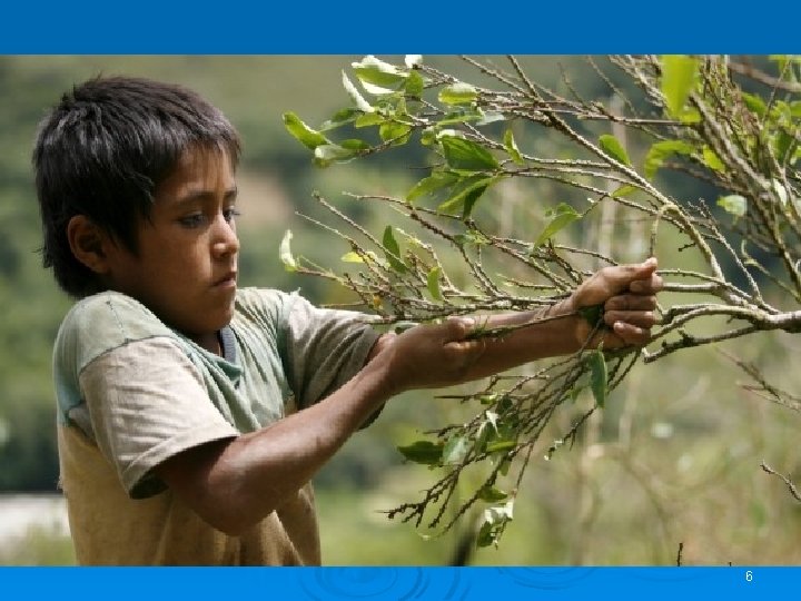 Perus Challenge 1 2 Buenos Dias Good Morning