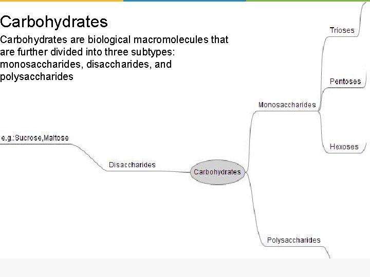 METABOLISM Metabolism Most energy comes from the sun