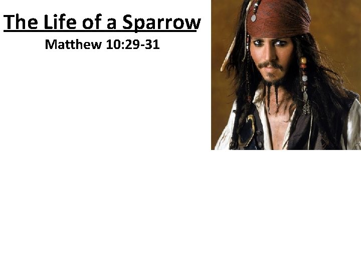 The Life of a Sparrow Matthew 10 29