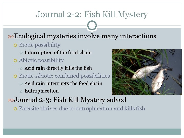 Unit 2 Ecology Review PART I COMMUNITIES AND