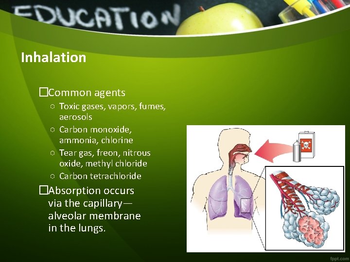 Poisons Overdose Substance Abuse Toxicology Presented by Dr