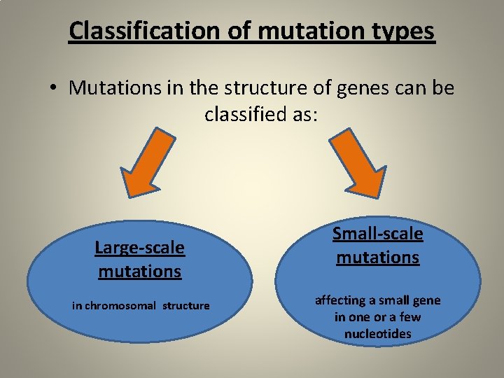 MUTATIONS By Dr Walaa Bayoumie El Gazzar Mutations