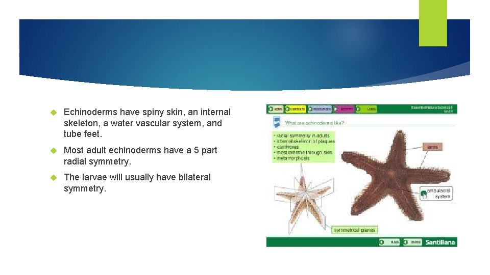 Echinoderms Members of this group are sea stars