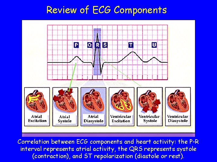 ISCHEMIA Continuing Education March 2001 GOALS Upon completion