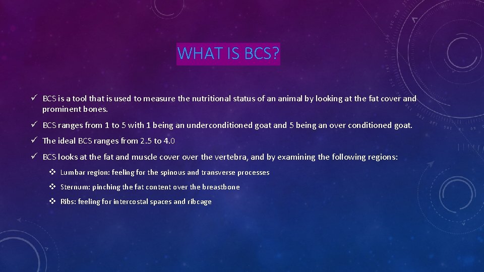 BODY CONDITION SCORE BCS IN GOATS WHAT IS