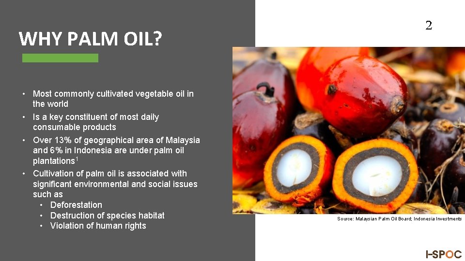 SUSTAINABLE PALM OIL COALITION FOR INDIA AN INTRODUCTION