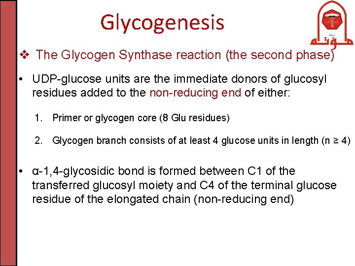Glycogen Metabolism Dr Nesrin Mwafi Biochemistry Molecular Biology