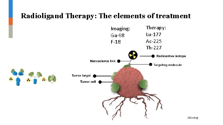 Theranostics for Prostate Cancer Michael J Morris MD