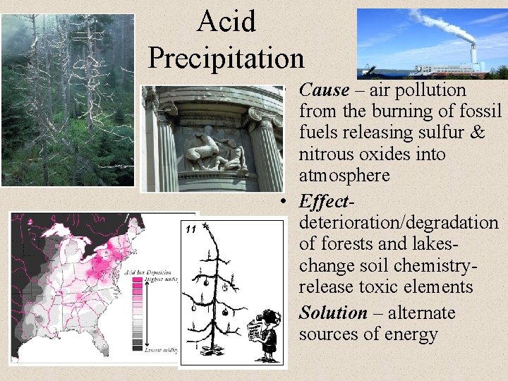 Environmental Issues The earths biodiversity number of different