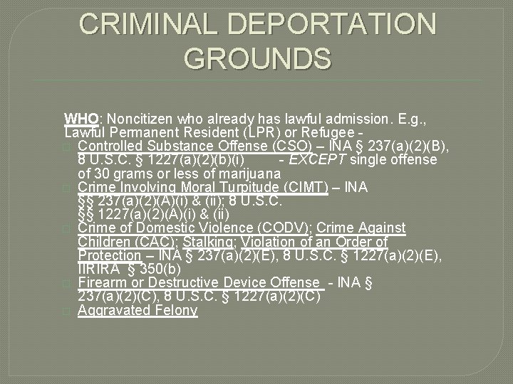 SAFE CITIES CRIMIMM Training Ellen Pachnanda Brooklyn Defender