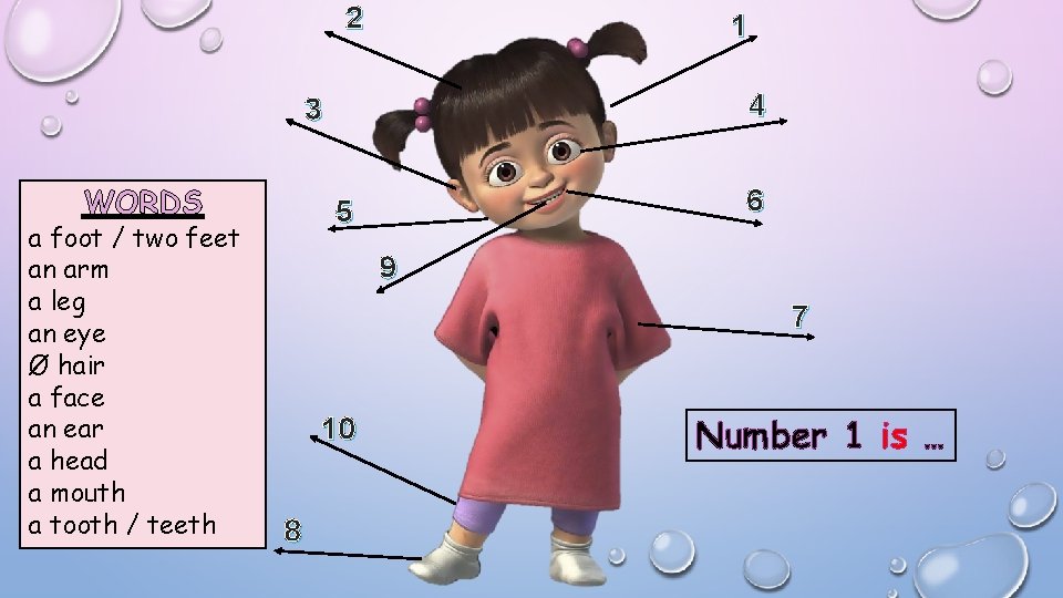 PHYSICAL DESCRIPTION PART 1 BODY FACE 2 y