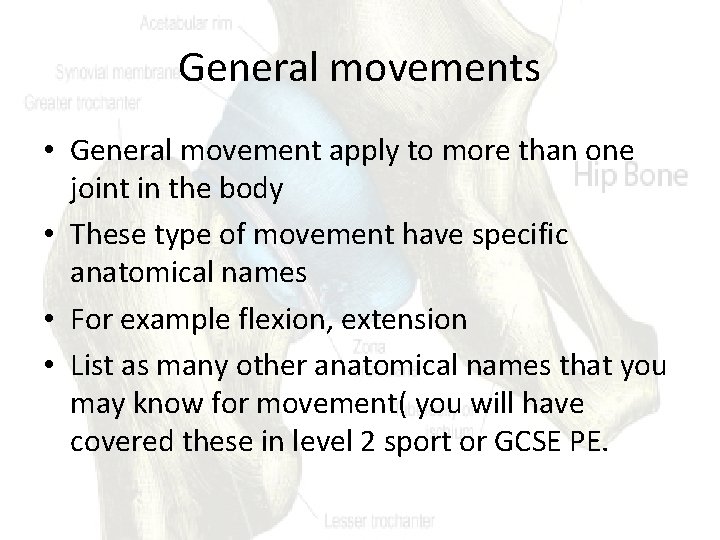 Unit 1 Principles of Anatomy and physiology in