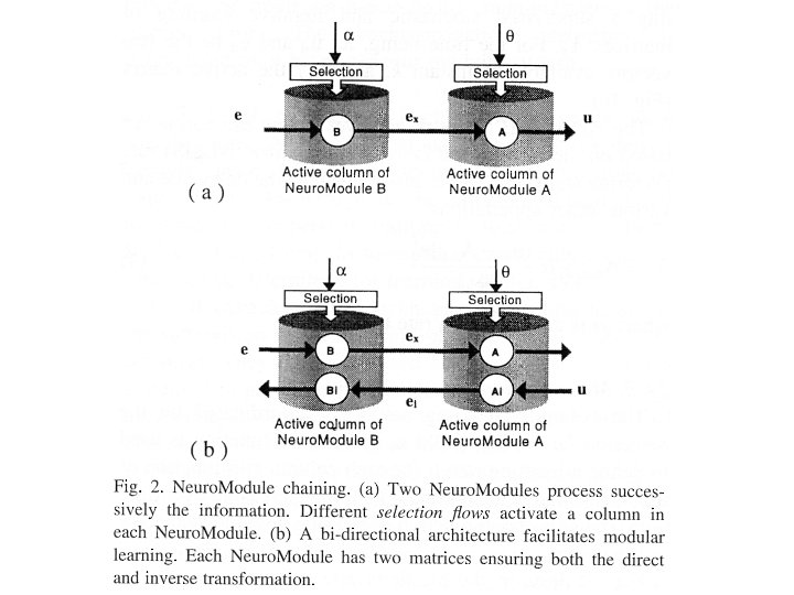 Visually guided movements learning with modular neural maps